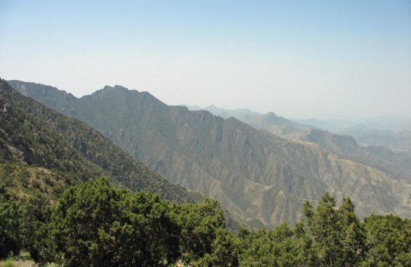 Explore The Wild Side Of Saudi Arabia At Aseer National Park