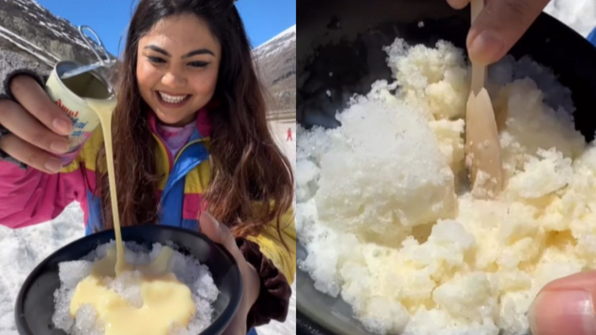 Vlogger Makes Snow Ice Cream With Fresh Snow & Condensed Milk. Here's ...
