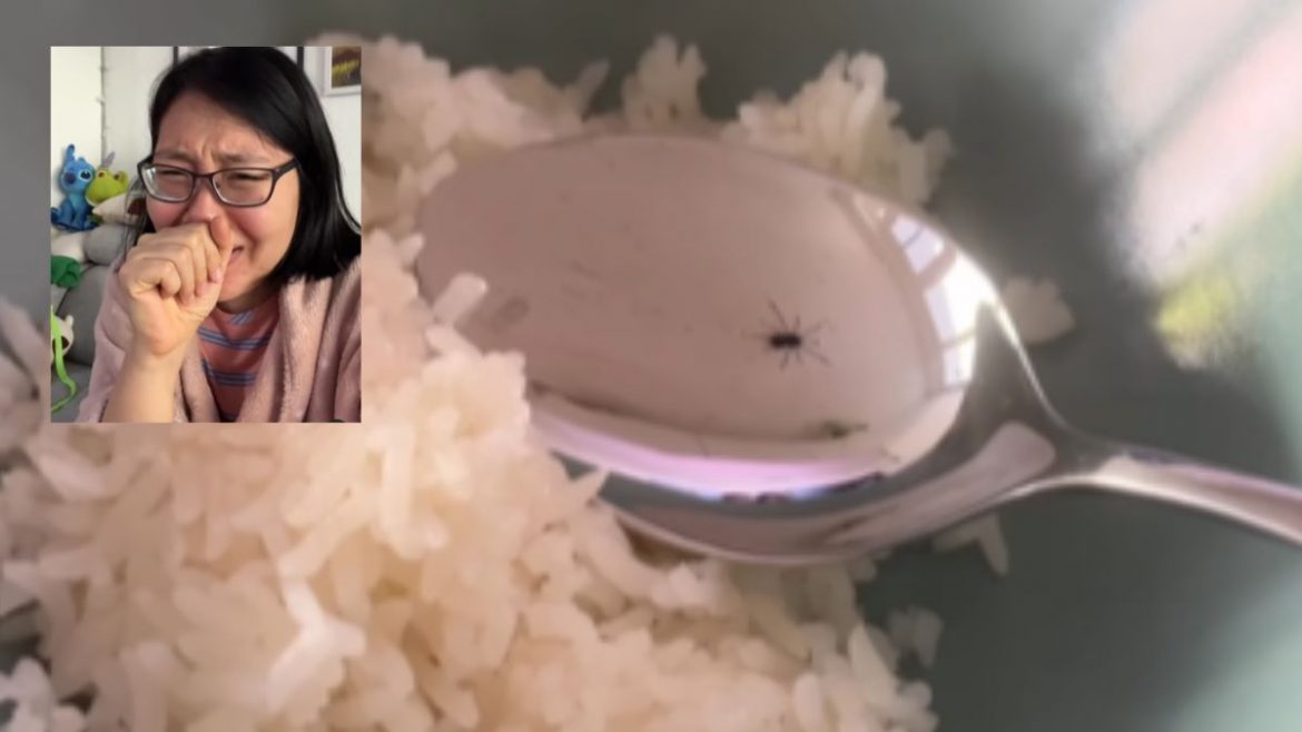 Woman Thinks There's A Spider In Her Food; Her Viral Reaction Will Make ...