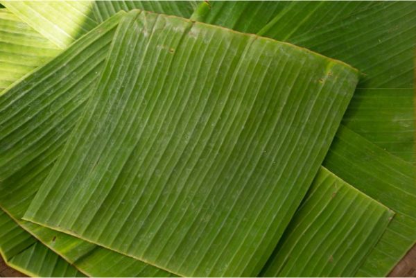 From Steaming To Eating Off Them, Here Are The 8 Benefits Of Banana Leaves!