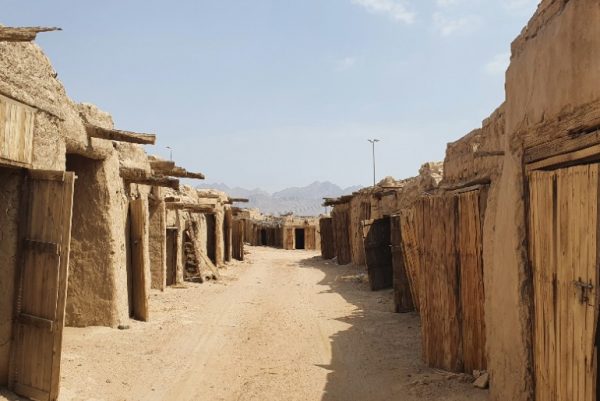 5 Fun Things You Must Do At Farasan Island In Saudi