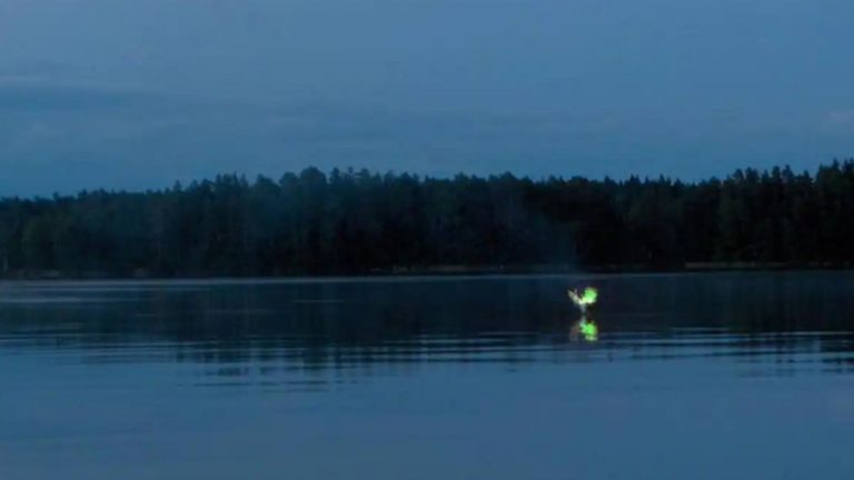 People Believe Aleya Lights In The Sunderbans Are Work Of Spirits. But ...