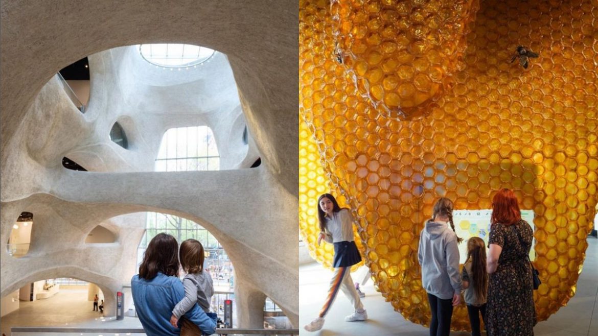 The American Museum Of Natural History Has A Surprise For You & It's ...