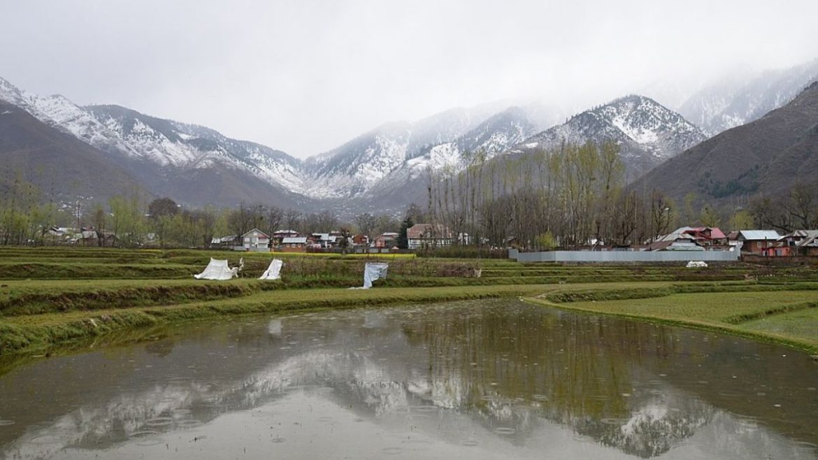 Kashmir's Aragam May Soon Become India's Largest Book Village; Details ...
