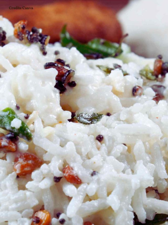 7 Reasons Why Curd Rice Is The Best Summer Dish
