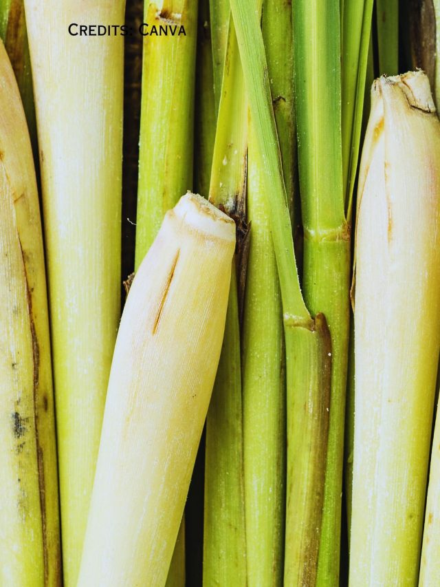 9 Benefits Of Lemon Grass You Should Know About!