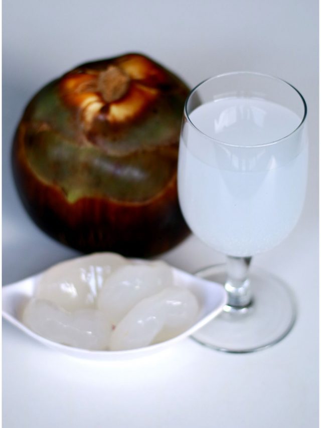 9 Facts To Know About Tadgola Or Ice Apple