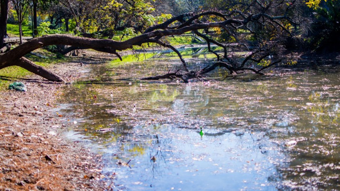 5 Lakes In South & 1 In North Goa Are Contaminated With Sewage Material