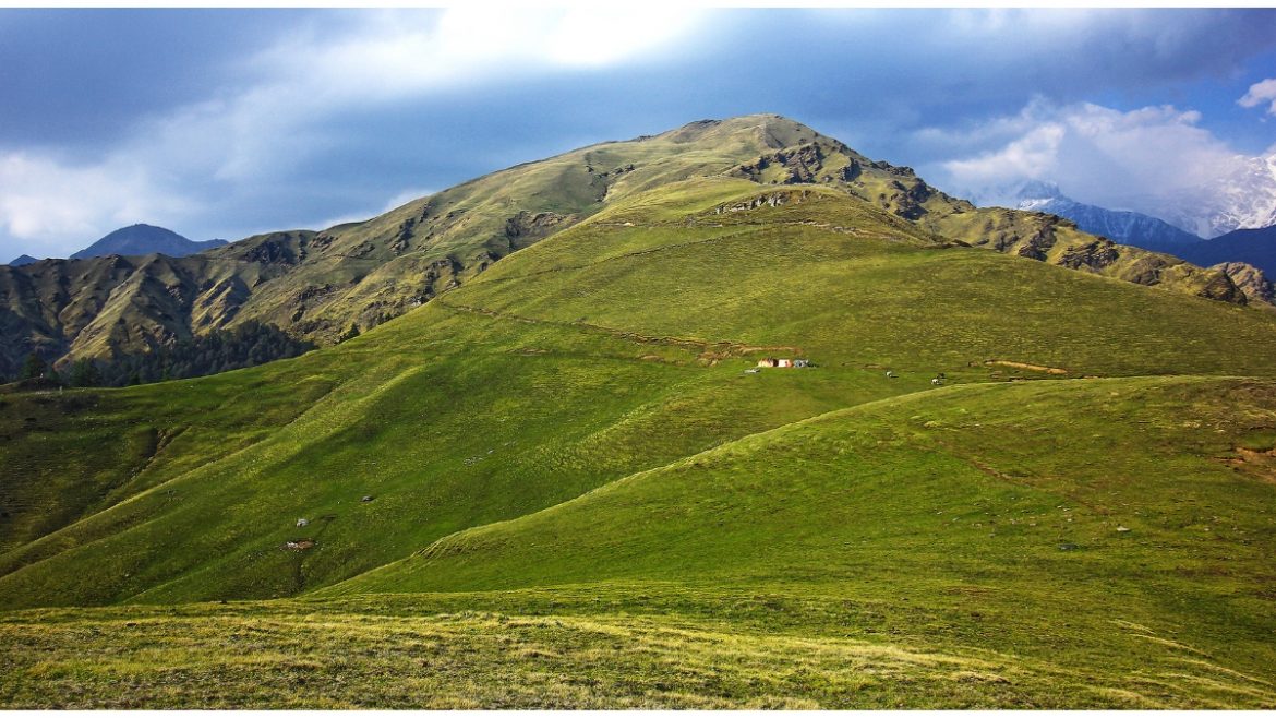 Picture-Perfect Vistas, At 12,550 Ft, Uttrakhand’s Ali Bedni Bugyal ...