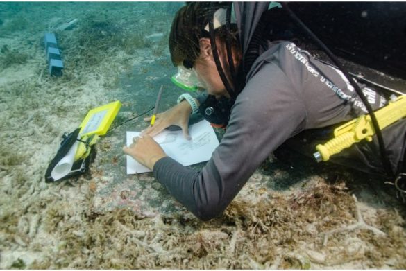 Archaeologists Discovered Cemetery & Hospital Under Water At The Dry ...