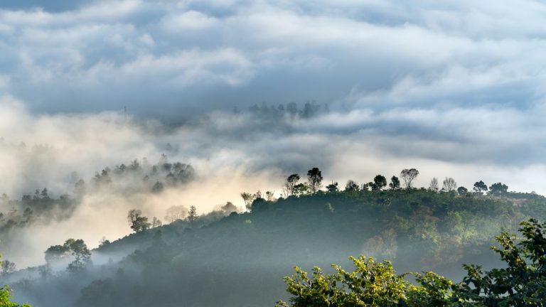 Hills Above, Clouds Below! 8 Hill Stations In India Where You Float ...