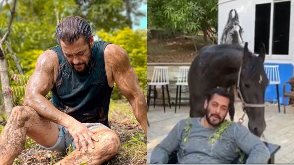 Salman Khan's ₹80 Crore Luxurious Panvel Farmhouse Is A World In Itself ...