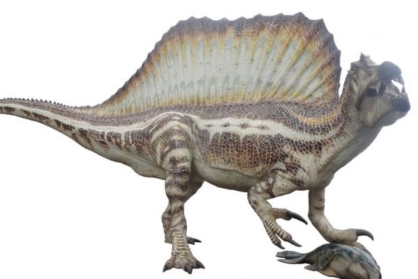 Archaeologists Unearth Fossil Of Meat-Eating Dinosaur Species ...