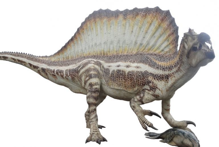 Archaeologists Unearth Fossil Of Meat-Eating Dinosaur Species ...