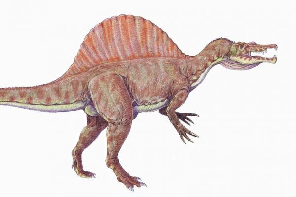Archaeologists Unearth Fossil Of Meat-Eating Dinosaur Species ...