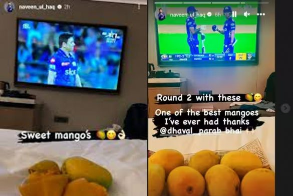 Time For #SweetMangoes! Twitter Flooded With Mango Pics After LSG's Embarrassing Defeat