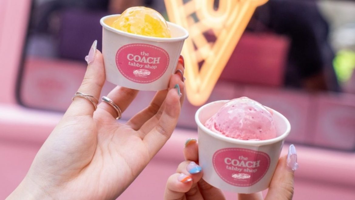 Relish Summertime Goodness With COACH's Iconic 'In My Tabby Ice Cream ...