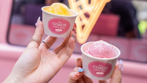 Relish Summertime Goodness With COACH's Iconic 'In My Tabby Ice Cream ...