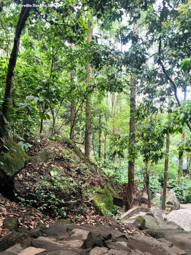 7 Must-Visit Places In Wayanad For A Perfect Holiday