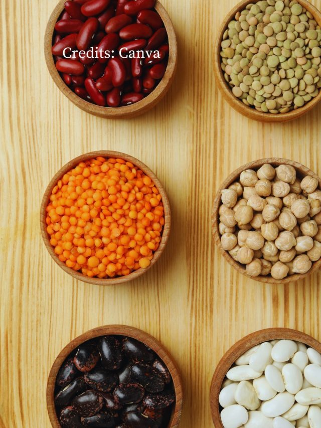 9 Types Of Beans You Must Try