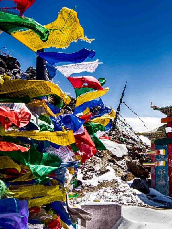 The Bagh In Amritsar Is Where You Can Get A Taste Of Global Cuisines ...