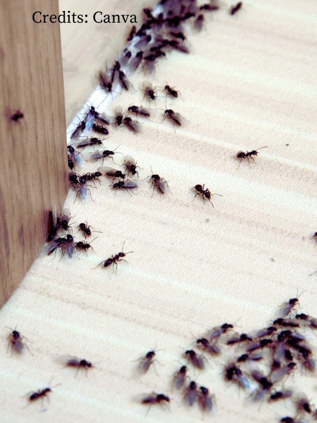 10 Most Instagrammable Cities In India