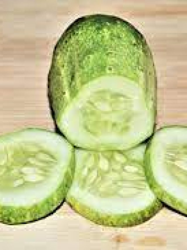 Home Hacks: How To Keep Cucumber Fresh For Long
