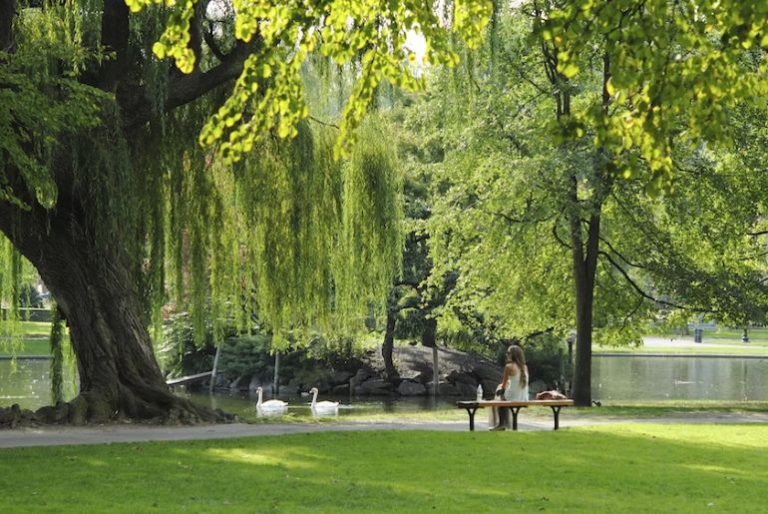 No Entry To Men! Delhi to Soon Have Women-Only Pink-Parks