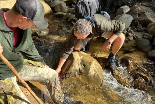 The Deadly Cyclone, Gabrielle, Unearthered 80 Million Years Old 'Sea ...