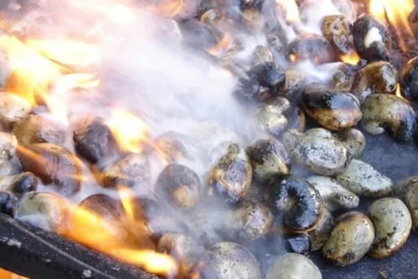 A Farm-To-Bottle Produced Spiced Feni, Ouro Is Goa Heritage Distillery ...