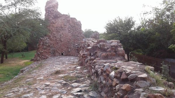 Archaeologists Discover Secret Tunnel Dating Back To Khilji Dynasty At ...