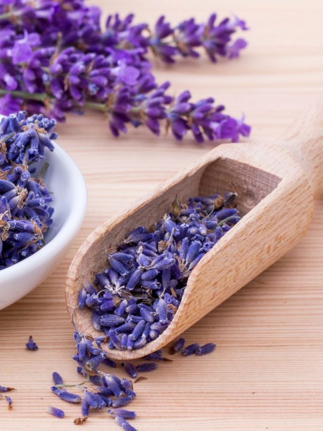 This Village In Saudi Arabia Has A Lavender Garden & Here's All About It!