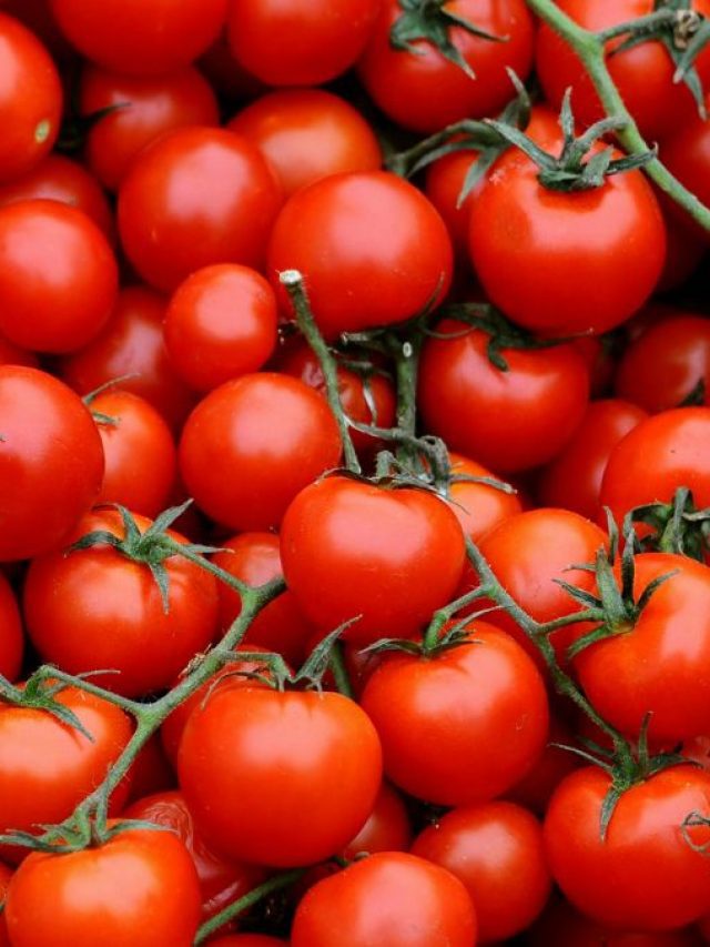 7 Tomato Substitutes To Use That Are More Cost-Effective