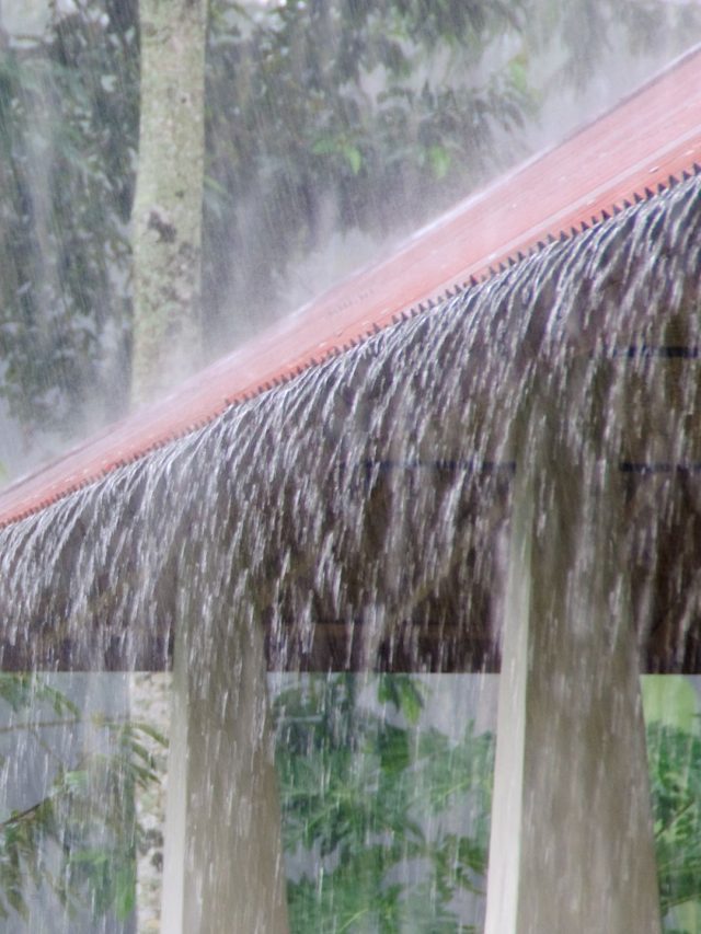 8 Adventure Activities That You Can Do In Monsoon!