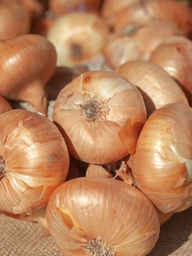 8 Fascinating Facts About Onions