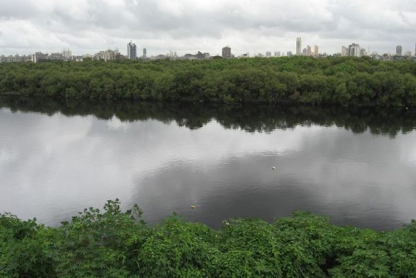 From Building Helipads To Gardens, MMRDA Has Fancy Plans For Mithi ...