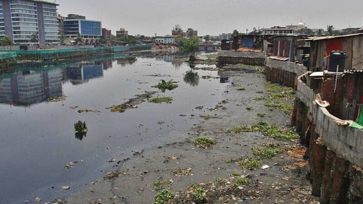 From Building Helipads To Gardens, MMRDA Has Fancy Plans For Mithi ...