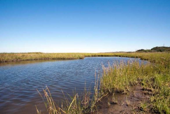 From Oussudu To Bahour Lake, 5 Waterbodies In Puducherry To Soon Get ...