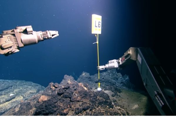 An Active Volcano Covered With A Million Eggs Discovered Underwater By ...