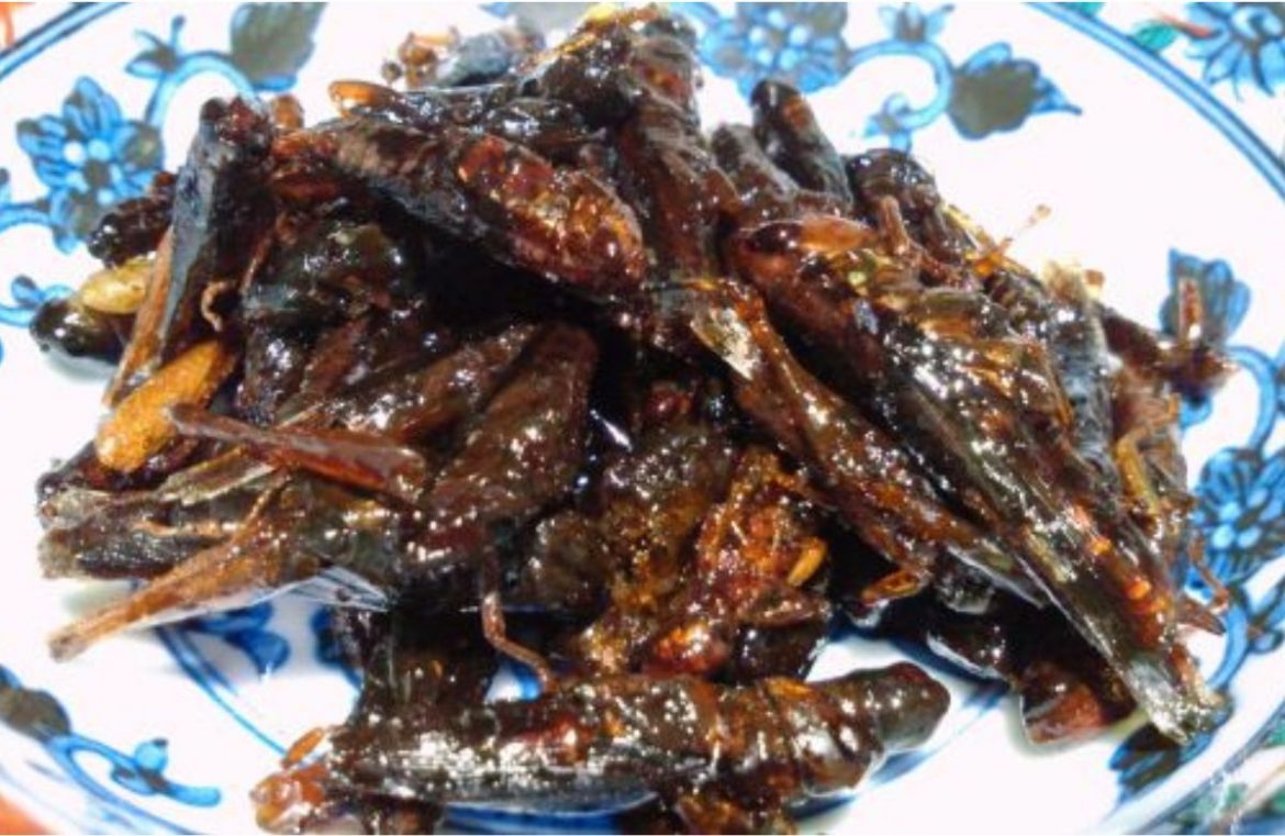 What Is This Japan's Fascinating Insect Cuisine, That's Touted To Be ...