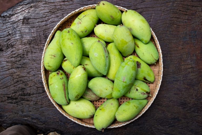 What Is Himachali Mahani, A Mouthwatering Raw Mango Curry Delight ...