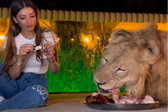 Viral Video Of A Woman & Lion Eating From The Same Plate Has The ...