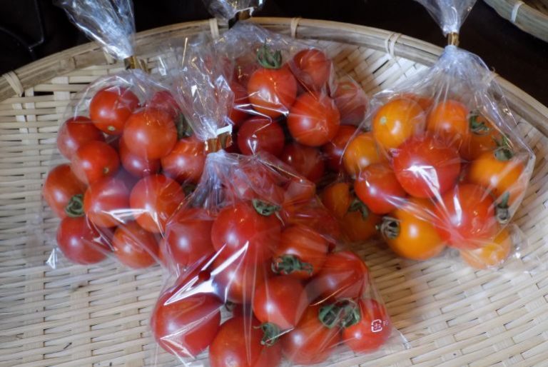 You Can Get 2 Kg Tomatoes Free At The MP Shop When You Buy A...