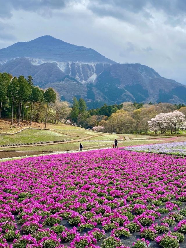 Travel Like Barbie: 6 Pretty Pink Places Around The World
