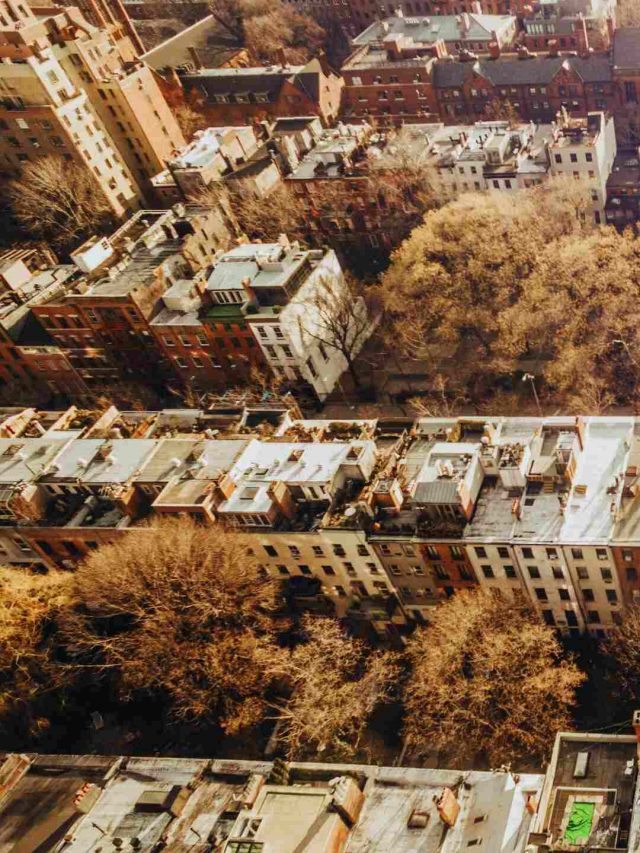 7 Reasons Why Chelsea, London Should Be On Your London Itinerary