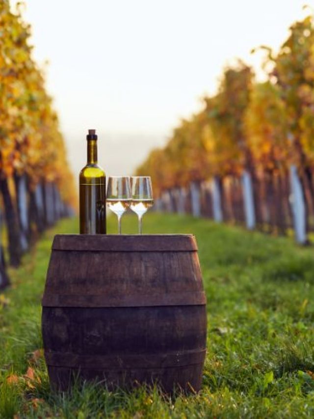 6 Places To Visit In India If You Love Sipping Wine