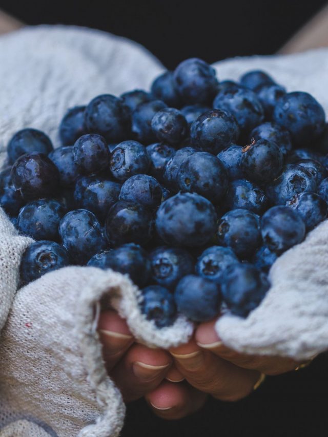 8 Ways To Use Blueberries And Whip Up Delish Food Items
