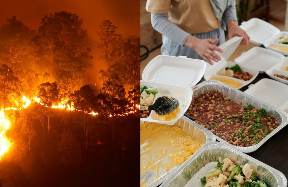 How Chefs And Local Restaurants Are Supporting Hawaiin Fire Survivors ...