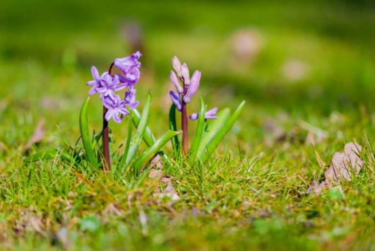 Beaches To Mountains: 9 Best Outdoor Places In Ajman For A Fun-Filled Day!