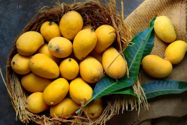 Good News! Goa’s Famous Bebinca And Mankurad Mango Are Now GI-Tagged